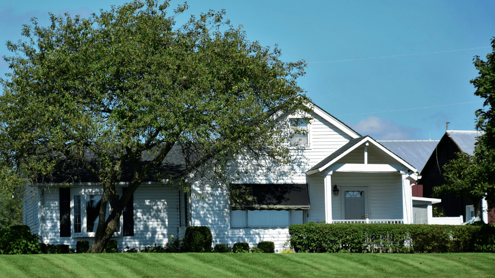 5 Top Estate Sale Companies in San Diego